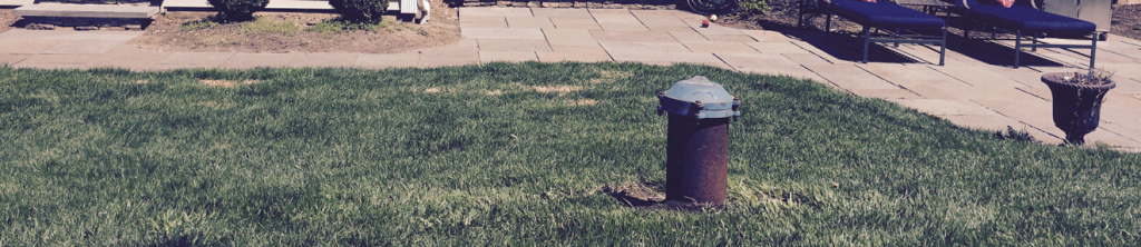 Landscaping Around Your Wellhead | Safe Practices for Homeowners
