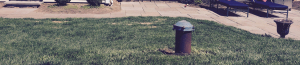 Landscaping Around Your Wellhead | Safe Practices for Homeowners
